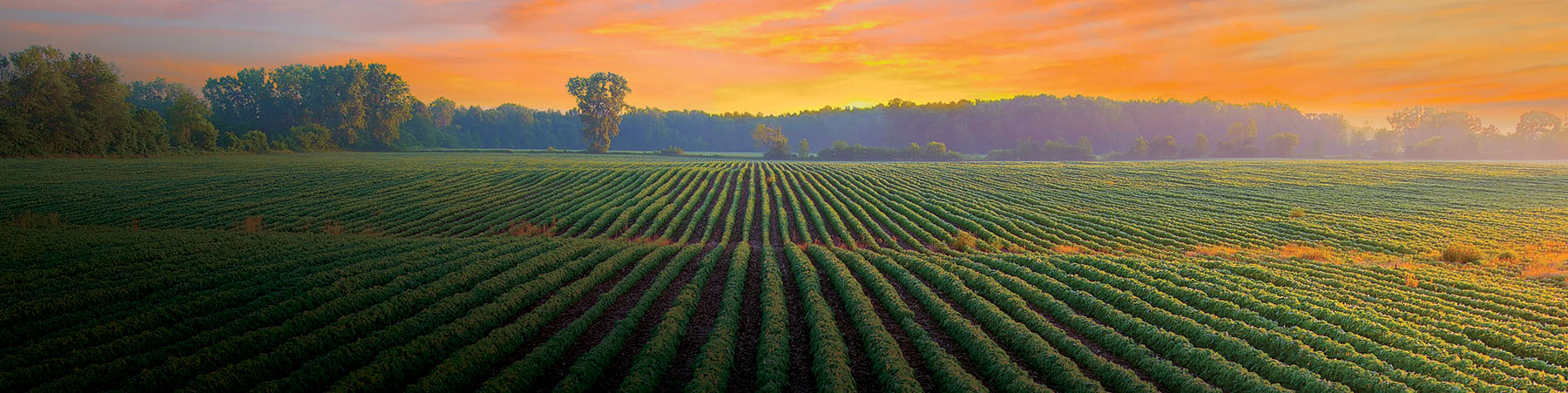 Matt Marschall & Dylan Marschall | Kidder Mathews